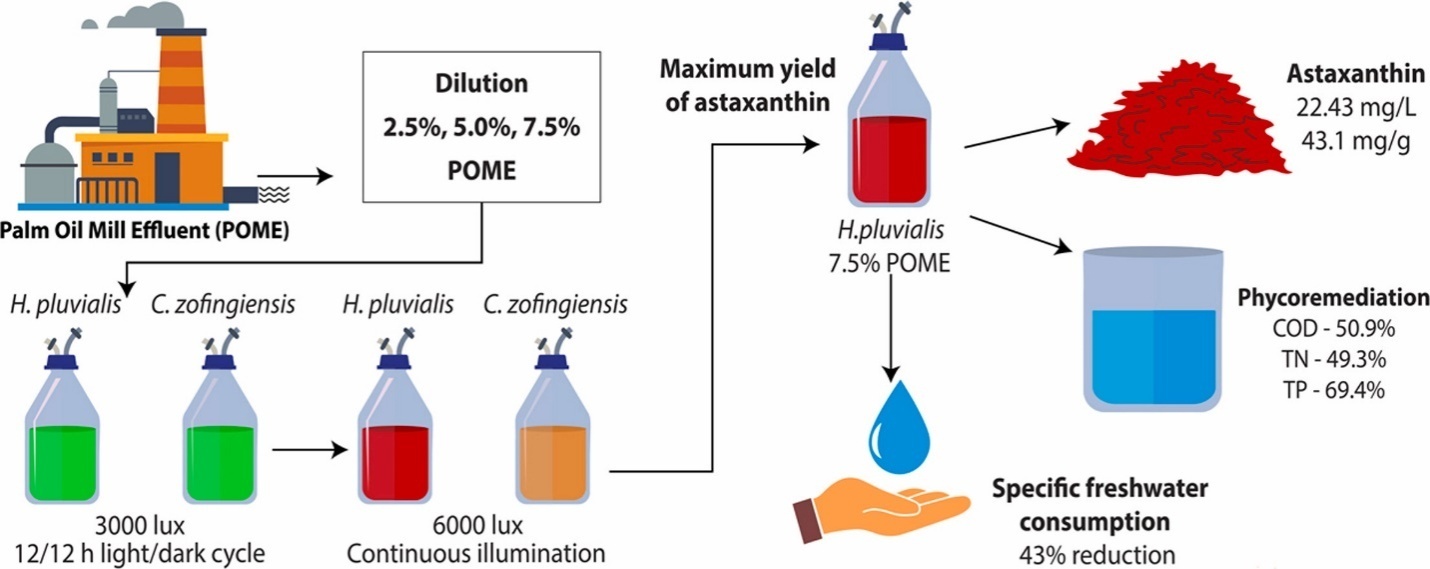 Microalgae for a Sustainable Bio-based Economy in Sri Lanka - Vidya E News