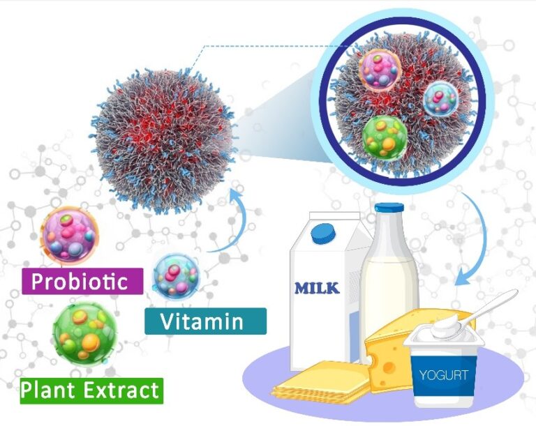 Tiny Science, Big Impact: How Nano-Encapsulation is Transforming Dairy ...
